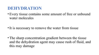 STEPS OF TISSUE PROCESSING in pathology for slide | PPTX