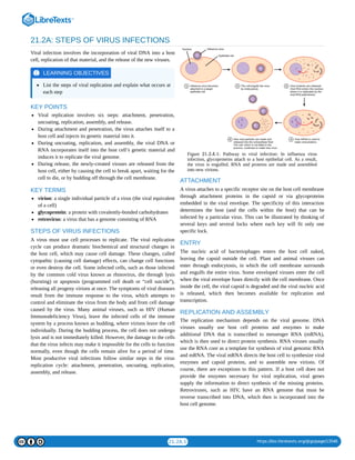 Steps_of_Virus_Infections.pdf