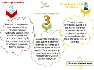 3 Simple Steps to Control Termites | PPT