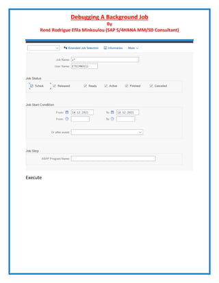 Steps to Debug a Background Job.pdf