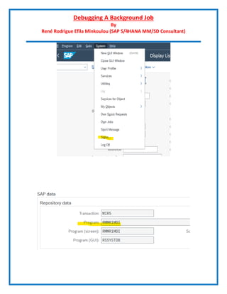 Steps to Debug a Background Job.pdf