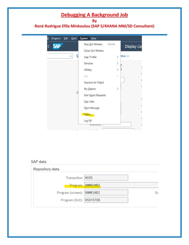 Steps to Debug a Background Job.pdf
