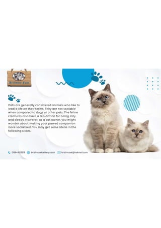 Steps to Follow for Making Your Cat More Sociable.pdf