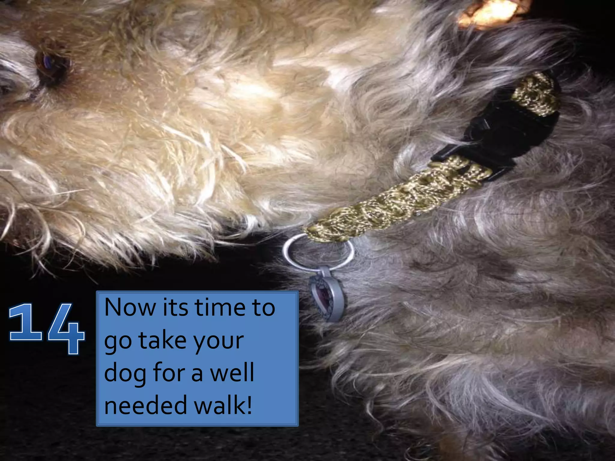 Steps to repurposing collar finished | PPTX