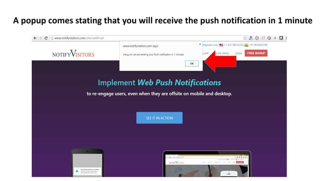 Steps to See Browser Push Notification Demo | PPT