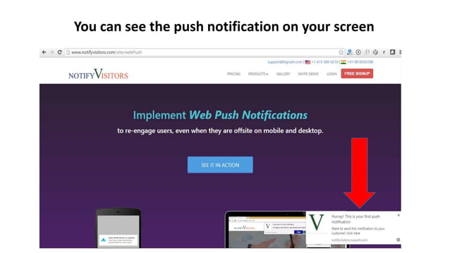 Steps to See Browser Push Notification Demo | PPT