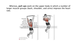 Step test, pull ups, and push-ups | PPT