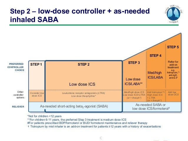 Stepwise Approach For Adjusting Asthma Treatment 2017