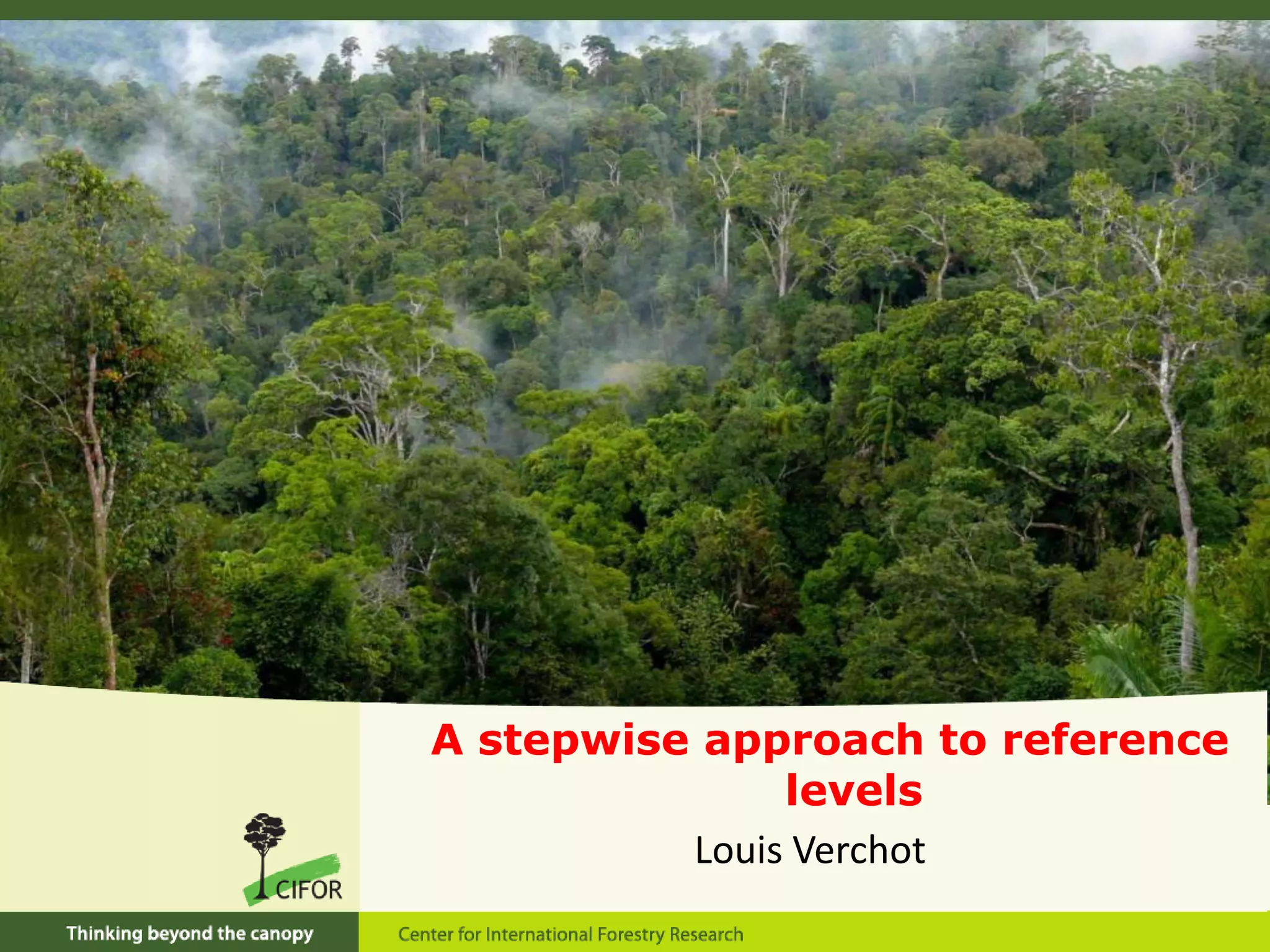 Stepwise approach to Reference Levels REDD+ | PPTX