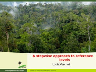 Stepwise approach to Reference Levels REDD+ | PPTX