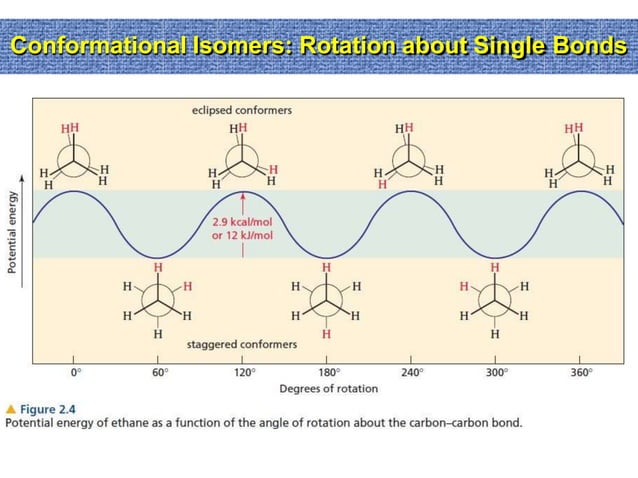 Stereochemistry Conformational Isomerism Pdf Chemistry Science