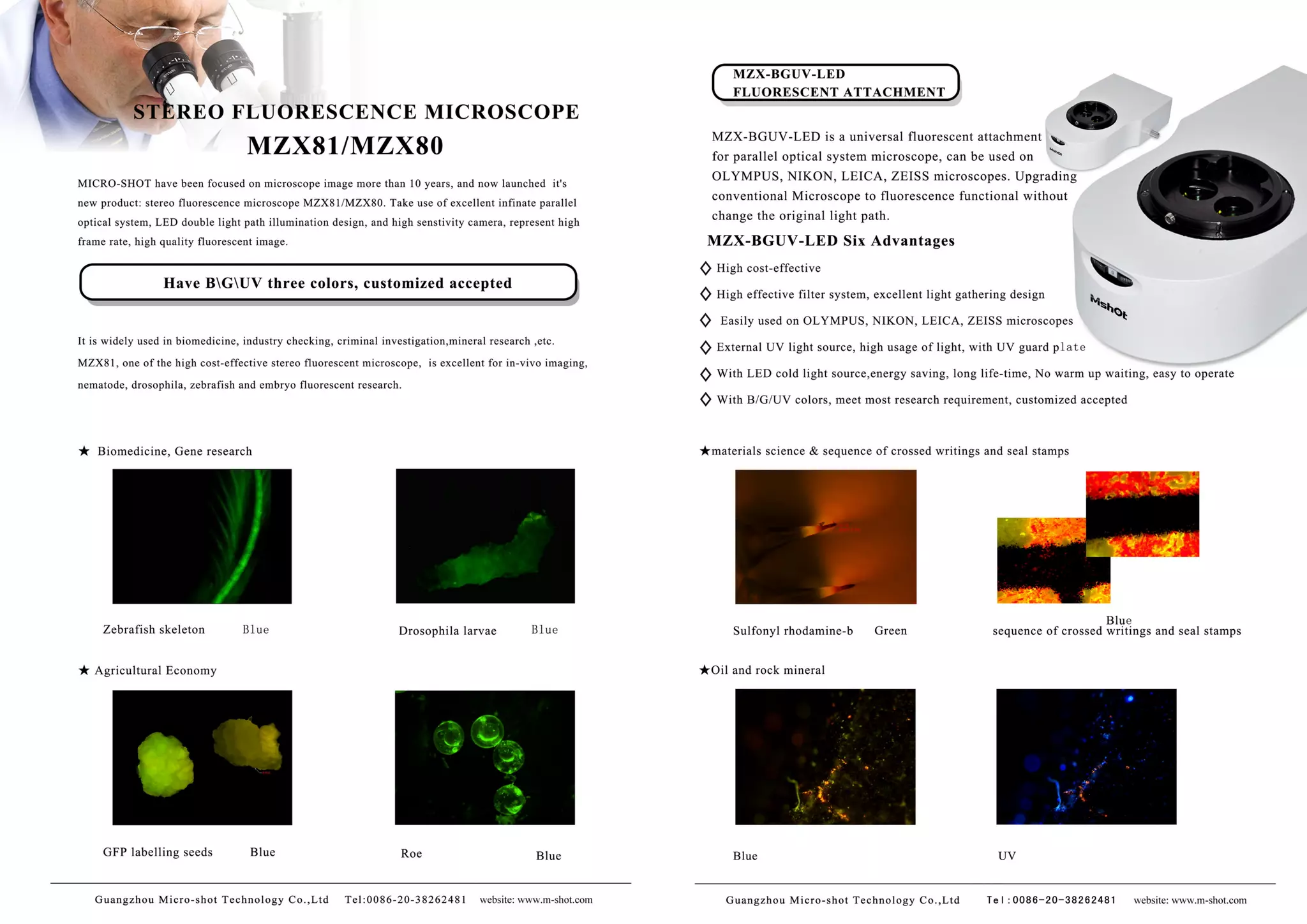 Stereo fluorescence microscope mzx81 Catalogue | PDF