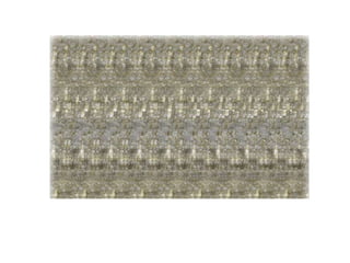 Stereograms | PPTX