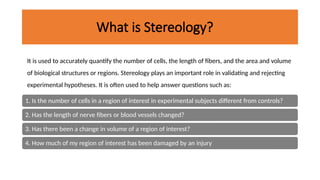 Stereology.pptx.................................... | PPTX