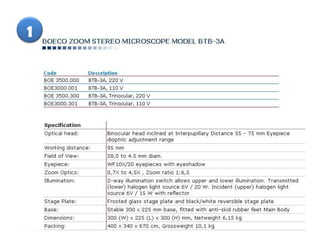 Stereo Microscope Boeco Binokular | PPT