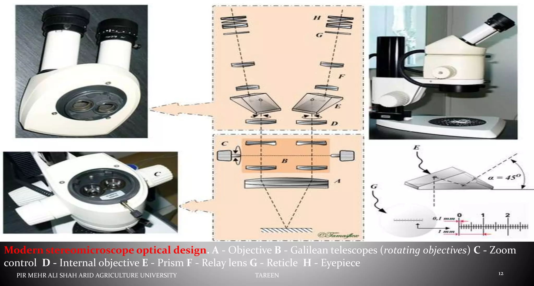 Stereo Microscope or Dissecting Miscrscope | PPTX