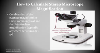 Stereo Microscope or Dissecting Miscrscope | PPTX