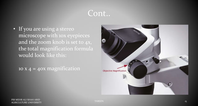 Stereo Microscope or Dissecting Miscrscope | PPTX | Eye and Vision ...
