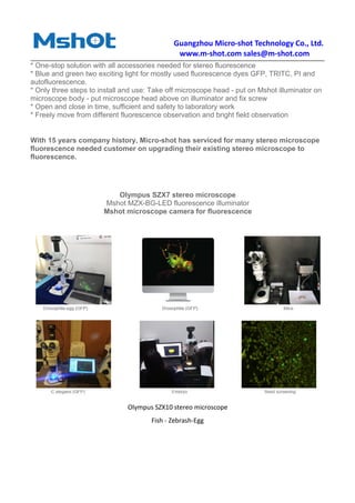 Stereo microscope fluorescence illumination solution | PDF