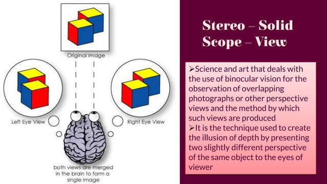 Stereoscopy in Dentistry | PPTX | 3-D Graphics | Computer Software and ...