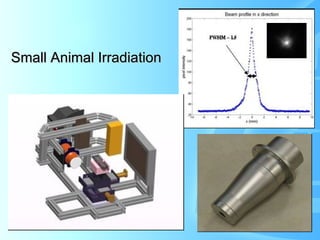 Stereotactic Body Radiation Therapy | PPT