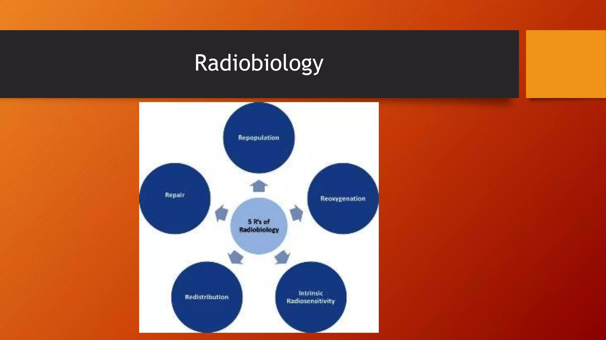 Stereotactic radiosurgery and radiotherapy | PPTX
