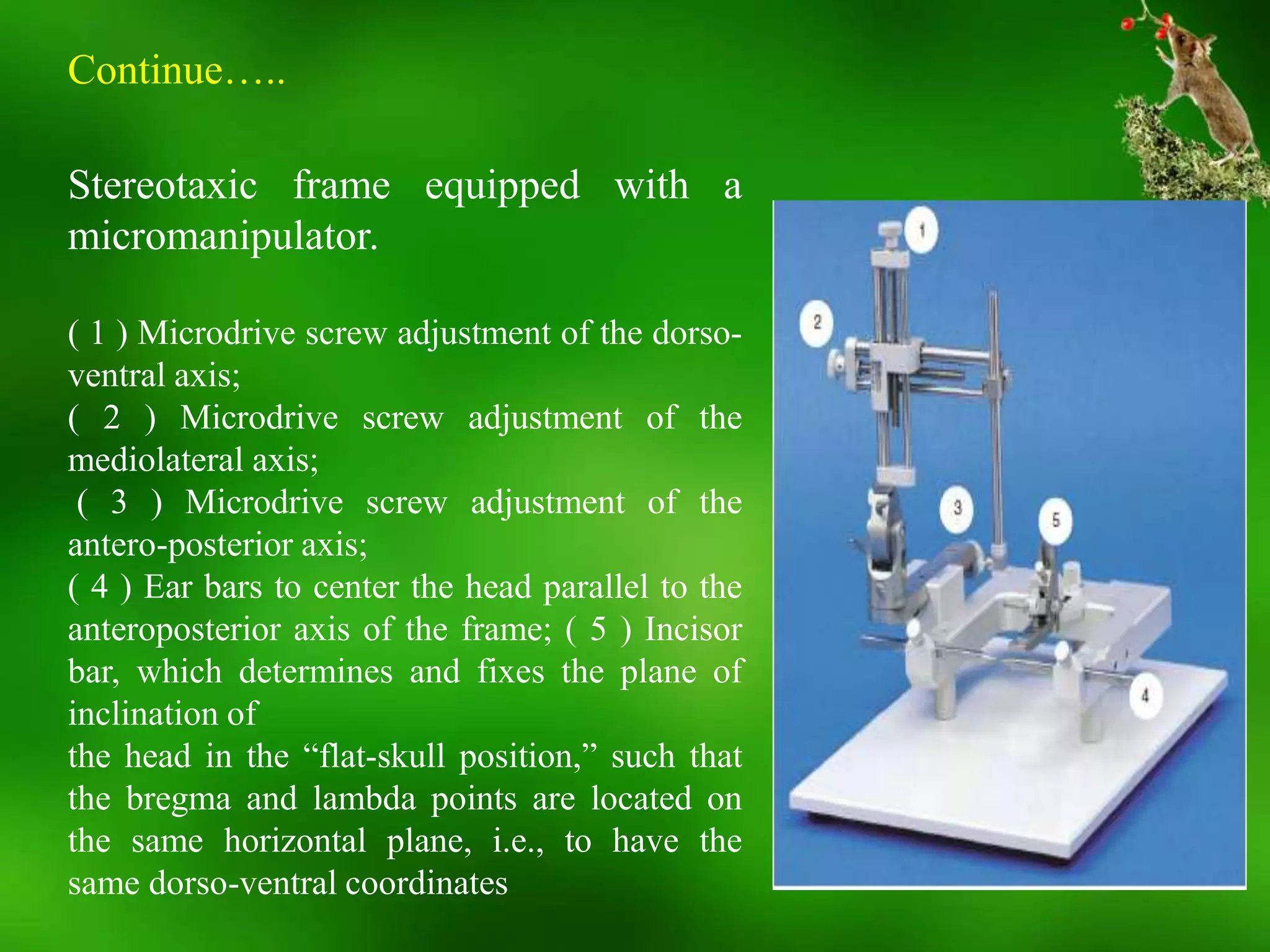 Stereotaxic atlas | PPTX