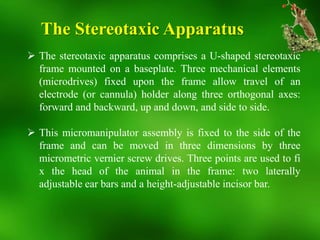 Stereotaxic atlas | PPTX