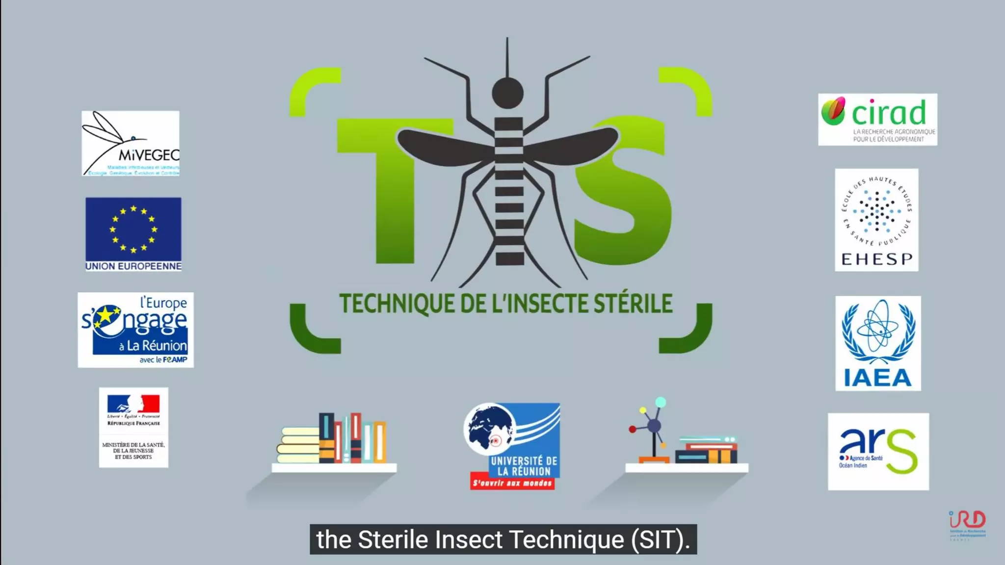 Sterile insect-techniques | PDF