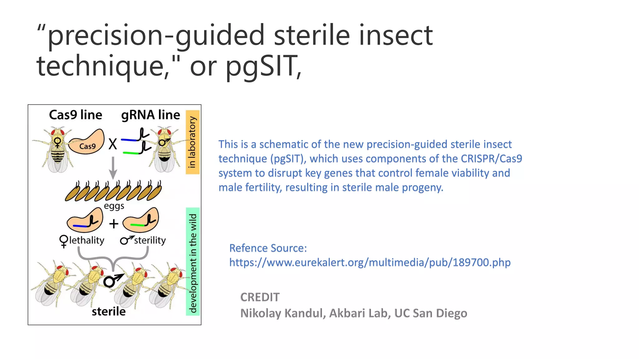 Sterile insect-techniques | PDF