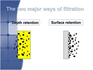 Sterile Filtration | PDF