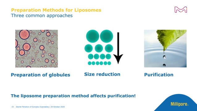 Sterile filtration of complex injectables by Partha Banerjee | PPTX ...