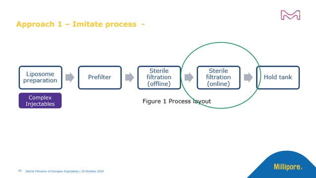 Sterile filtration of complex injectables by Partha Banerjee | PPTX ...