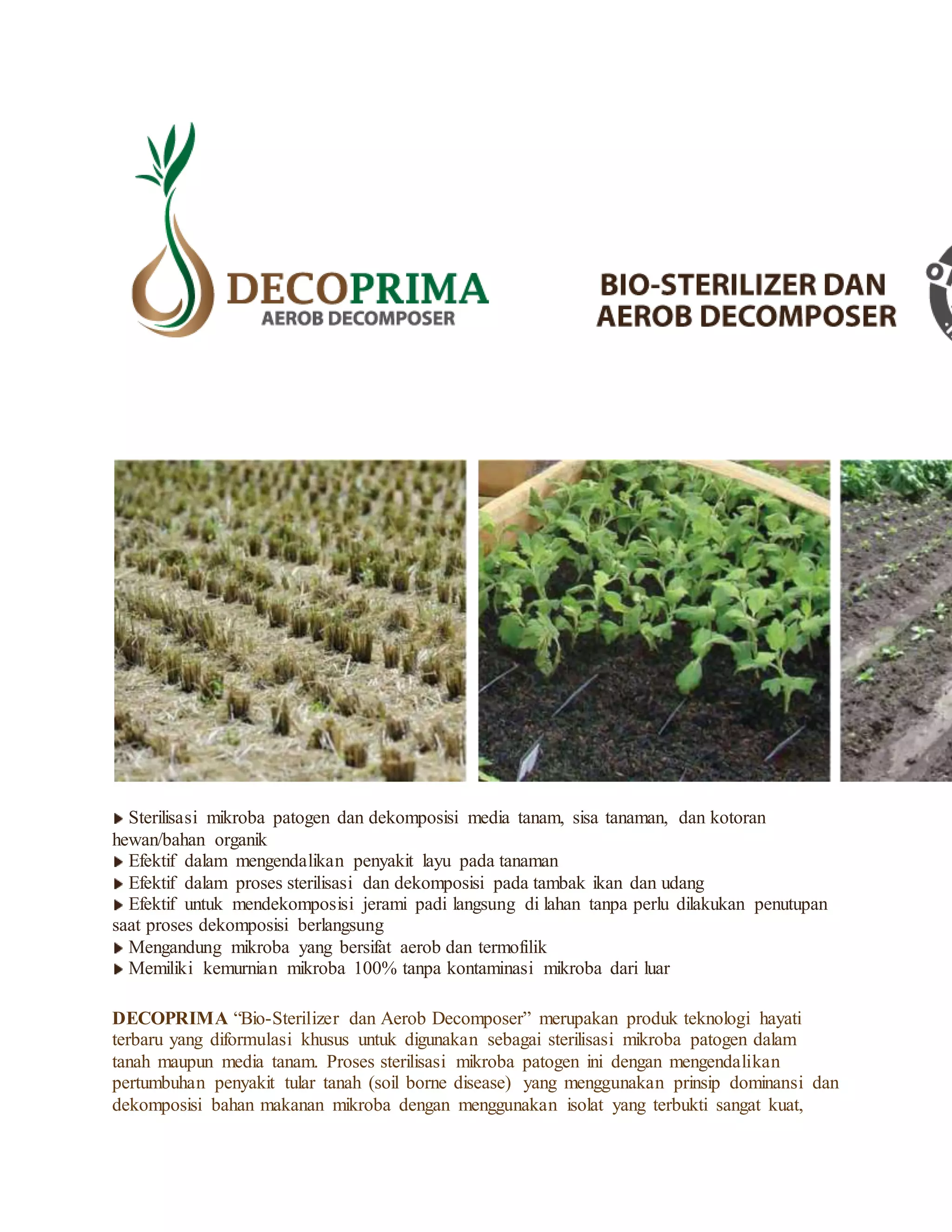 Sterilisasi mikroba patogen dan dekomposisi media tanam | DOCX