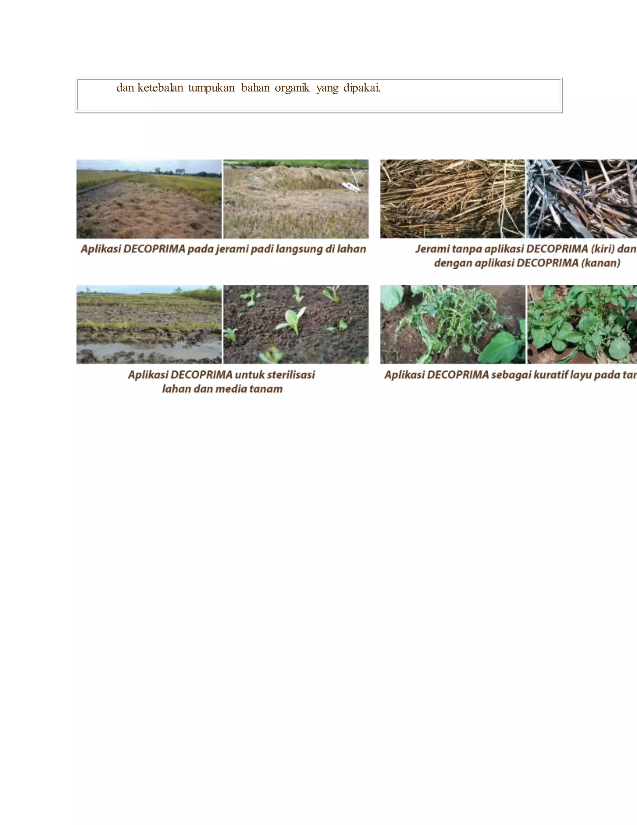 Sterilisasi mikroba patogen dan dekomposisi media tanam | DOCX