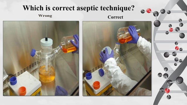 Sterility testing USP 71 | PDF | Chemistry | Science