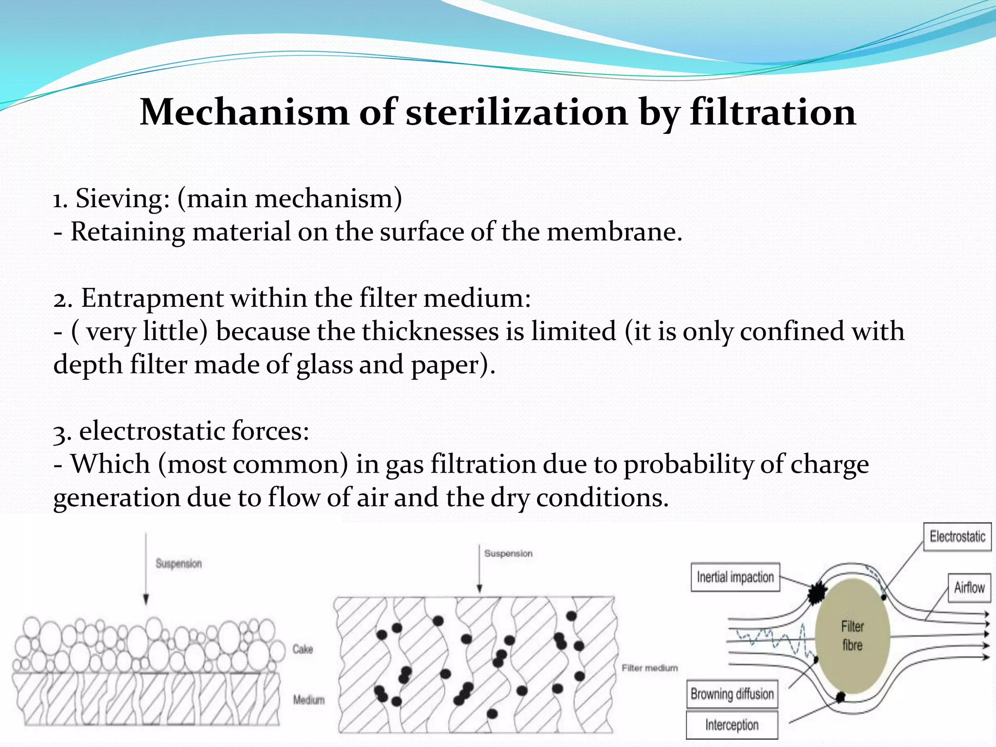Sterilization | PDF