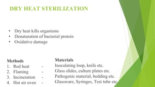 Sterilization | PPTX