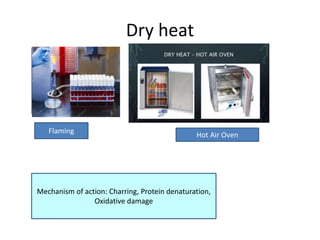 Sterilization and disinfection | PPTX