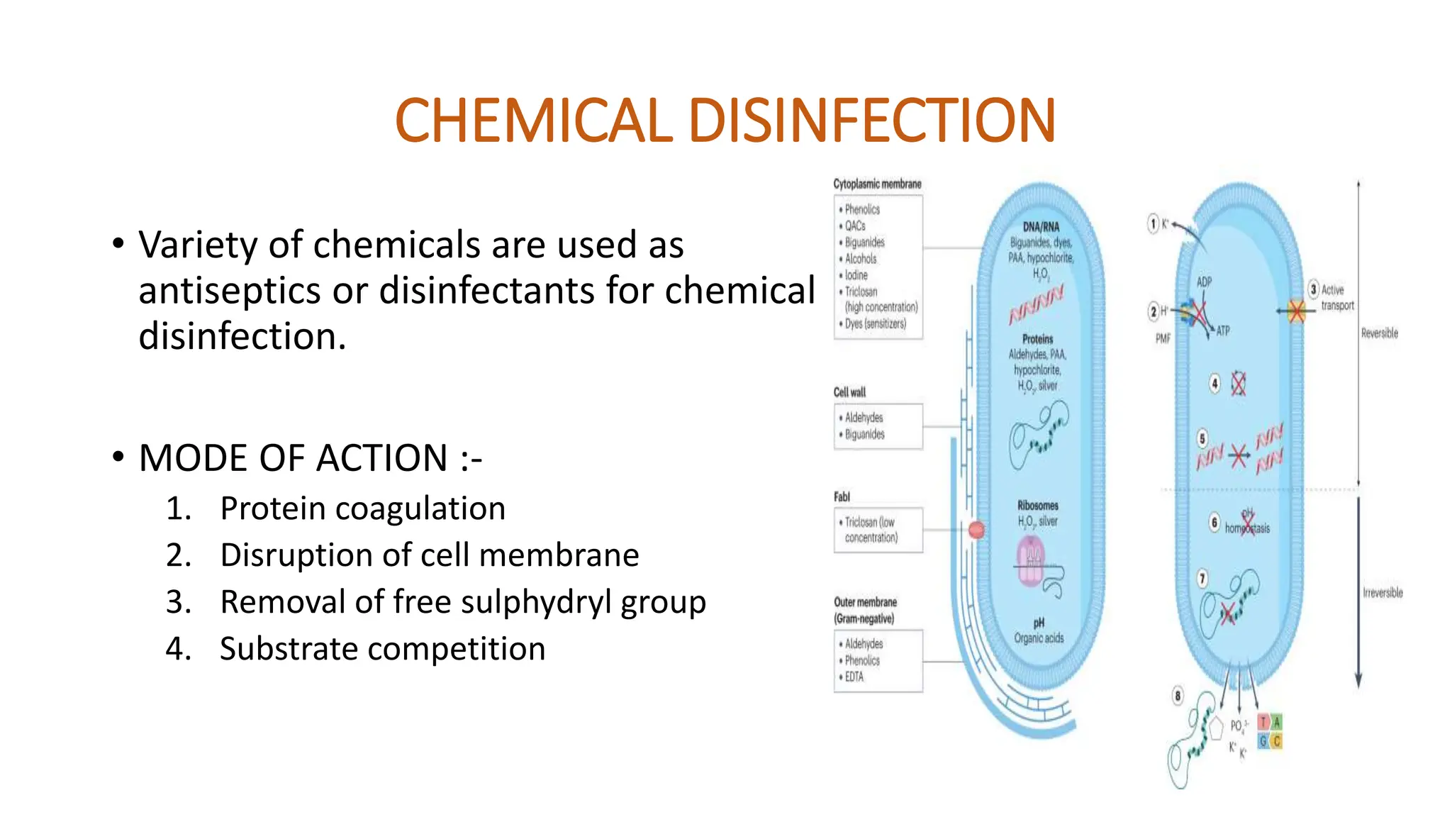 STERILIZATION AND DISINFECTION PRACTICES IN HOSPITAL.pptx