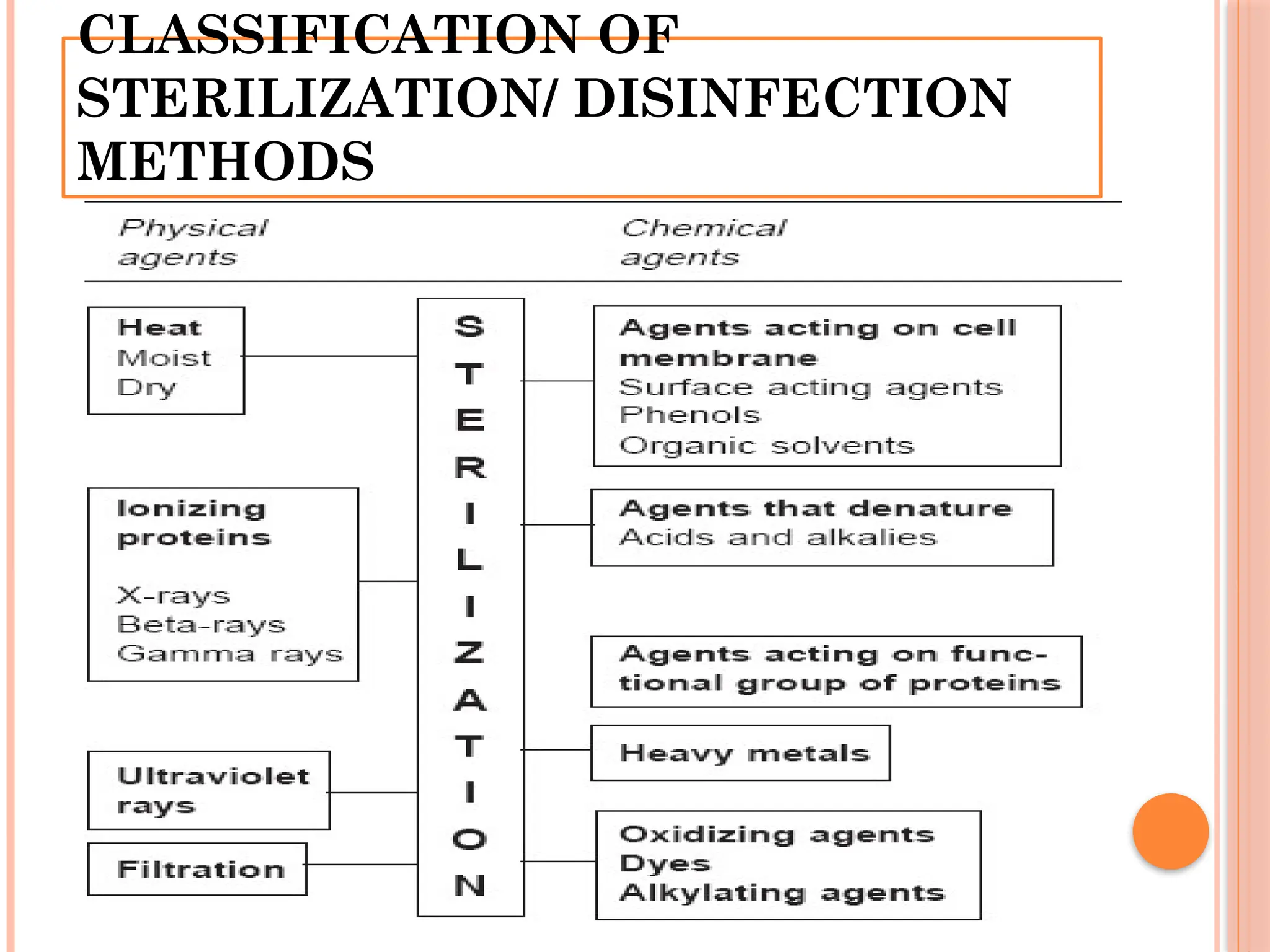 Sterilization & disinfection.PPT-1.pptx. | PPT | Free Download