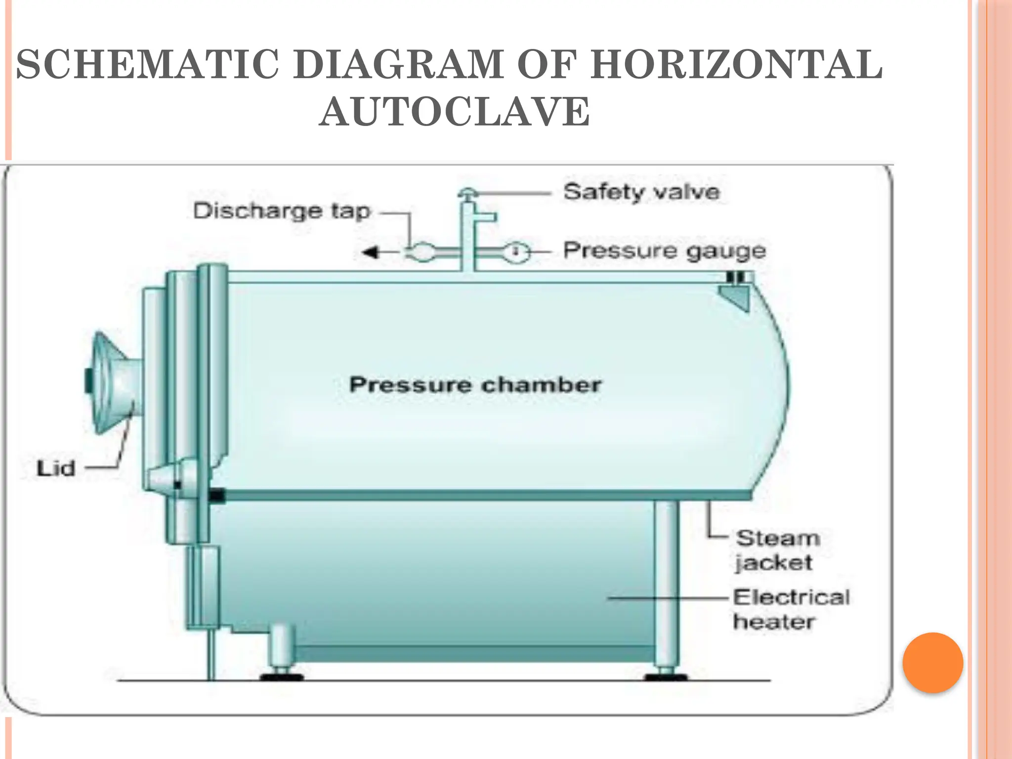Sterilization & disinfection.PPT-1.pptx. | PPT | Free Download