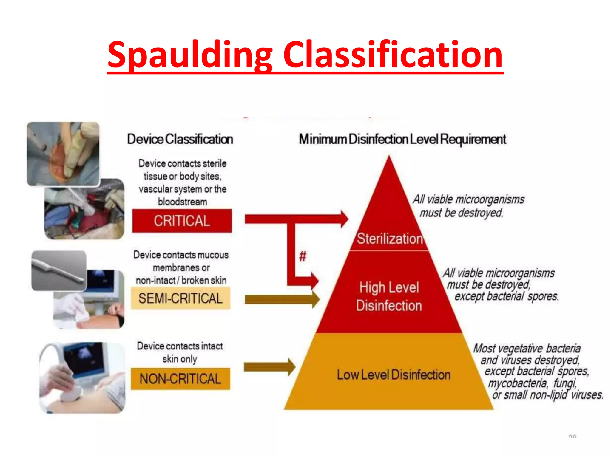Sterilization & Disinfection | PPTX