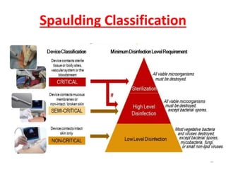Sterilization & Disinfection | PPTX