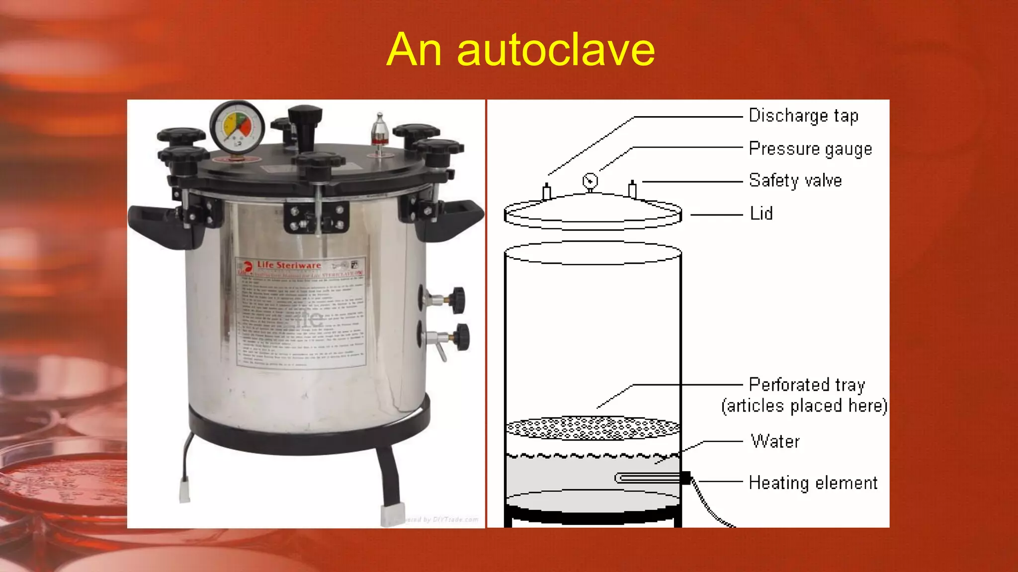 Sterilization and Disinfection | PDF