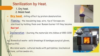 Sterilization ppt.pptx
