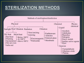 Sterilization | PPTX