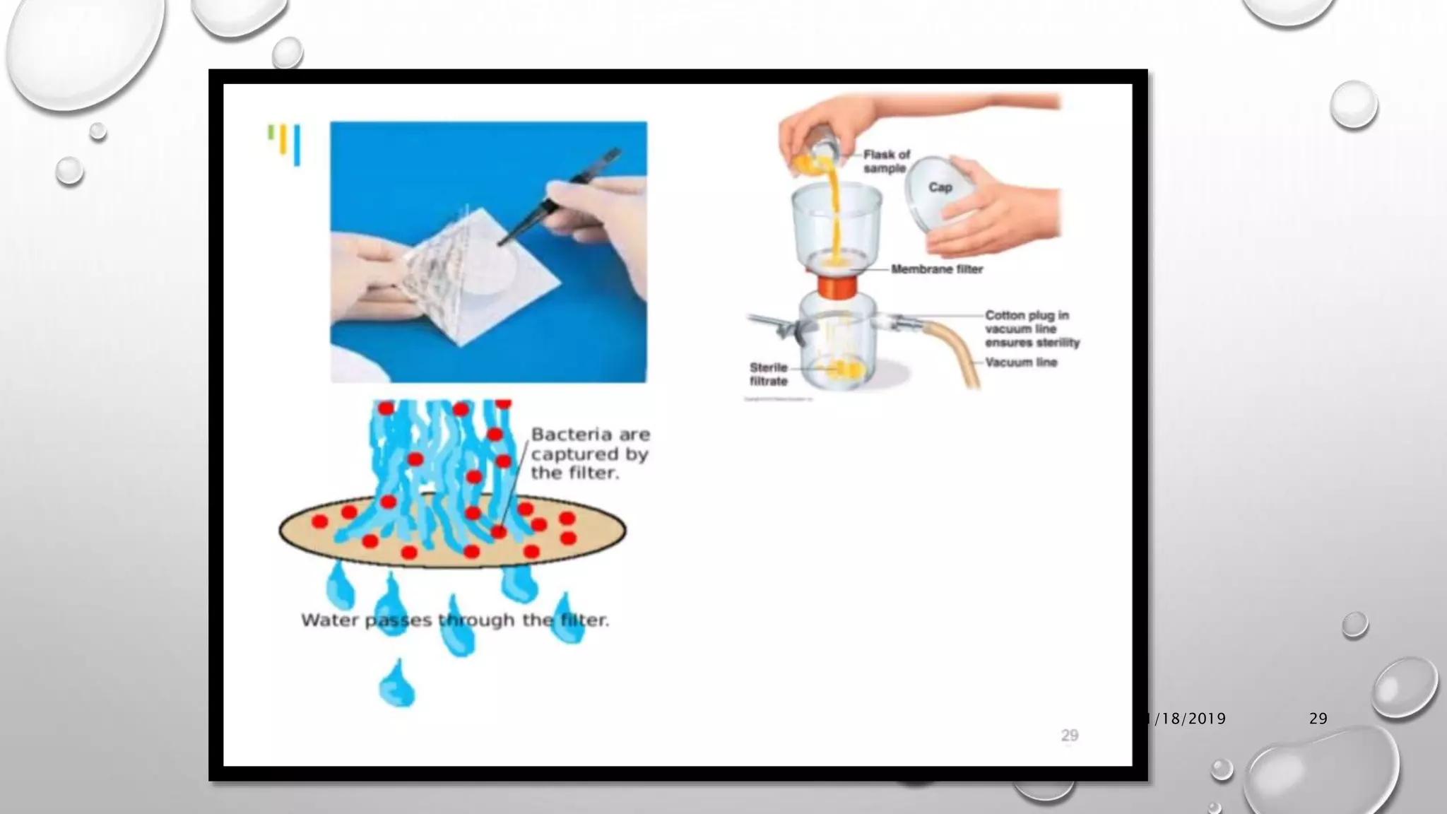 Sterilization techniques | PPTX