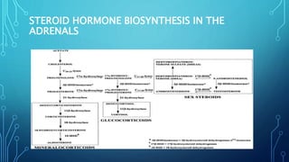 Steroids hormone and nuclear receptors signaling | PPTX