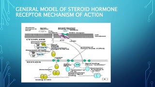 Steroids hormone and nuclear receptors signaling | PPT